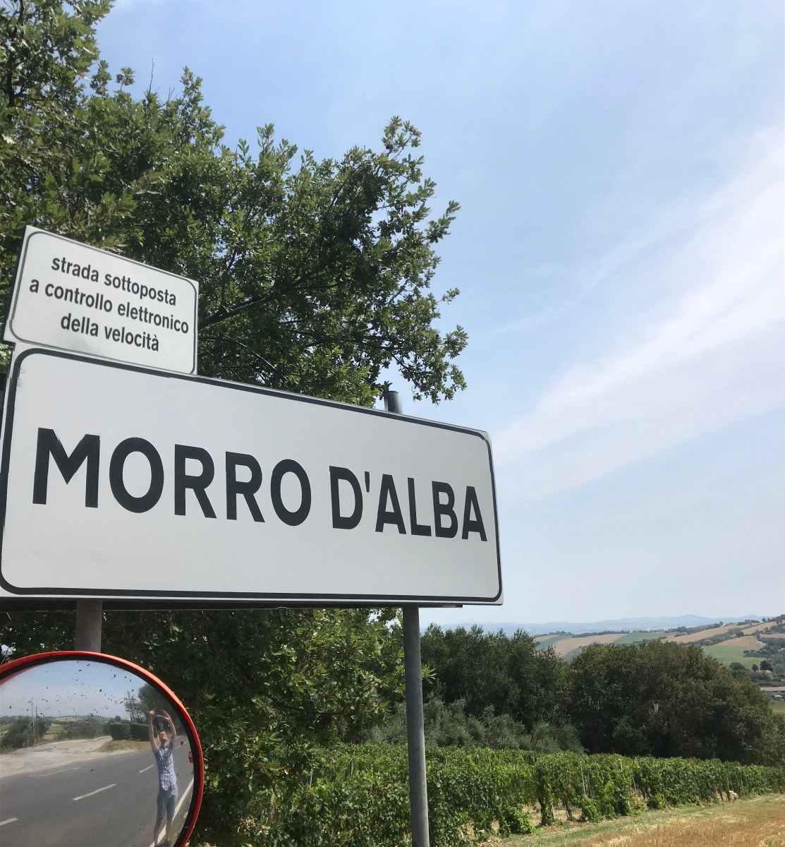 Lacrima : why you should get to know this unique grape | In Taste Buds ...